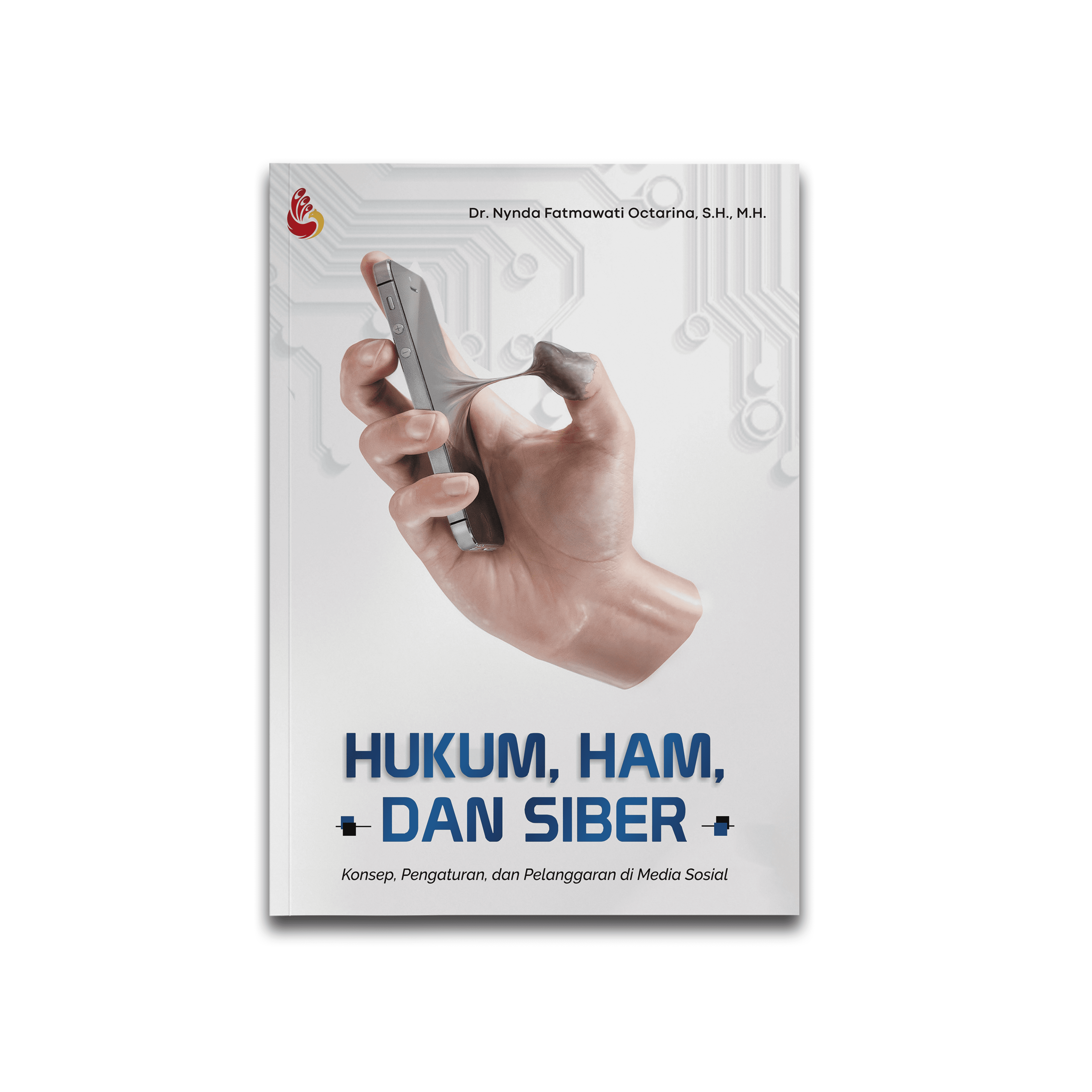 Buku HUKUM, HAM DAN SIBER: Konsep, Pengaturan, dan Pelanggaran Media ...